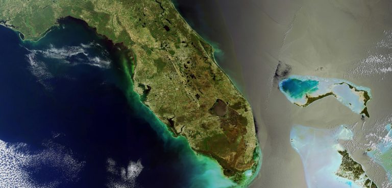 Earth Day History in Florida | Ecology Florida